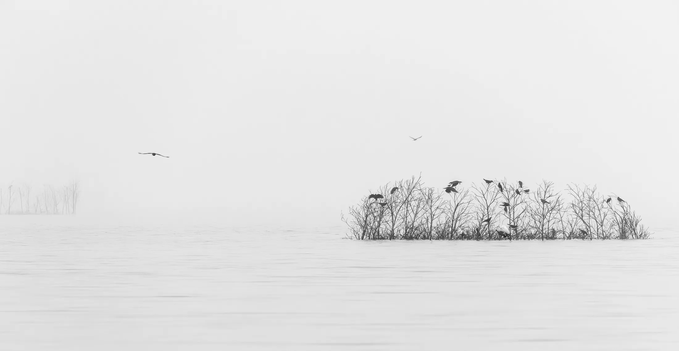 Composition - negative space - technique photo contest | Photocrowd ...