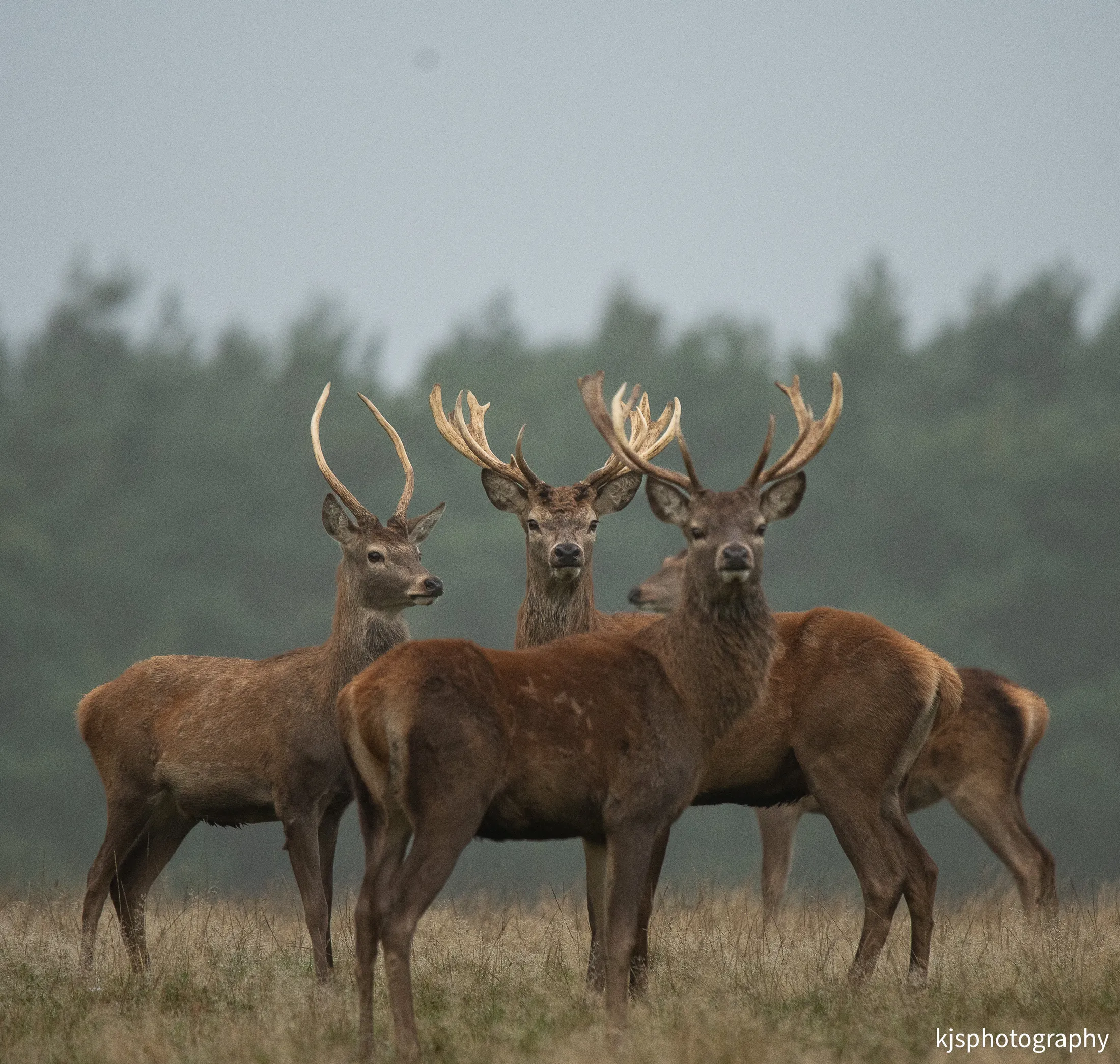 Three's a crowd - concepts photo contest | Photocrowd photo ...