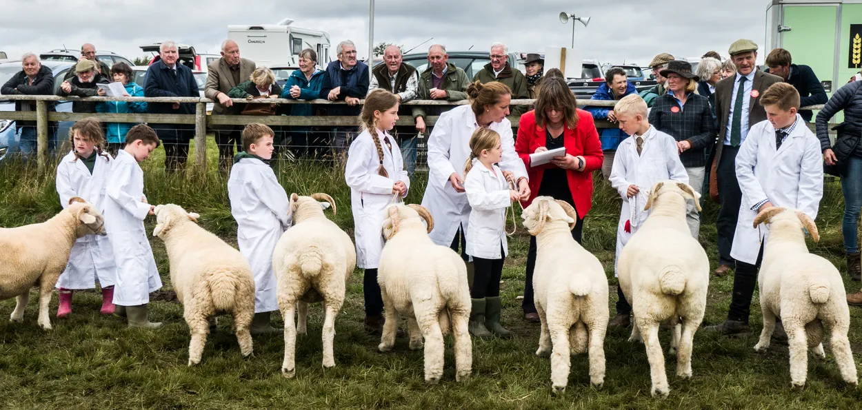 Agricultural and Country Shows - general photo contest | Photocrowd ...