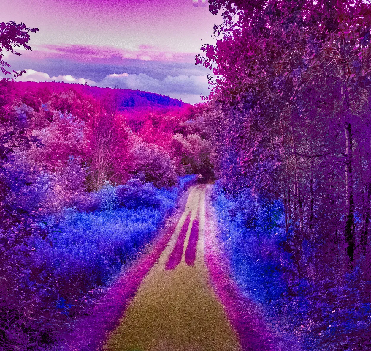 Extreme Colour - creative photo contest | Photocrowd photo competitions ...