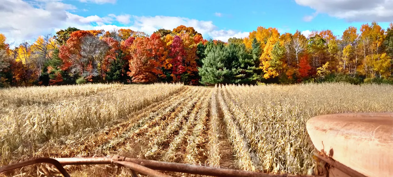 Autumn on the Farm - landscape photo contest | Photocrowd photo ...
