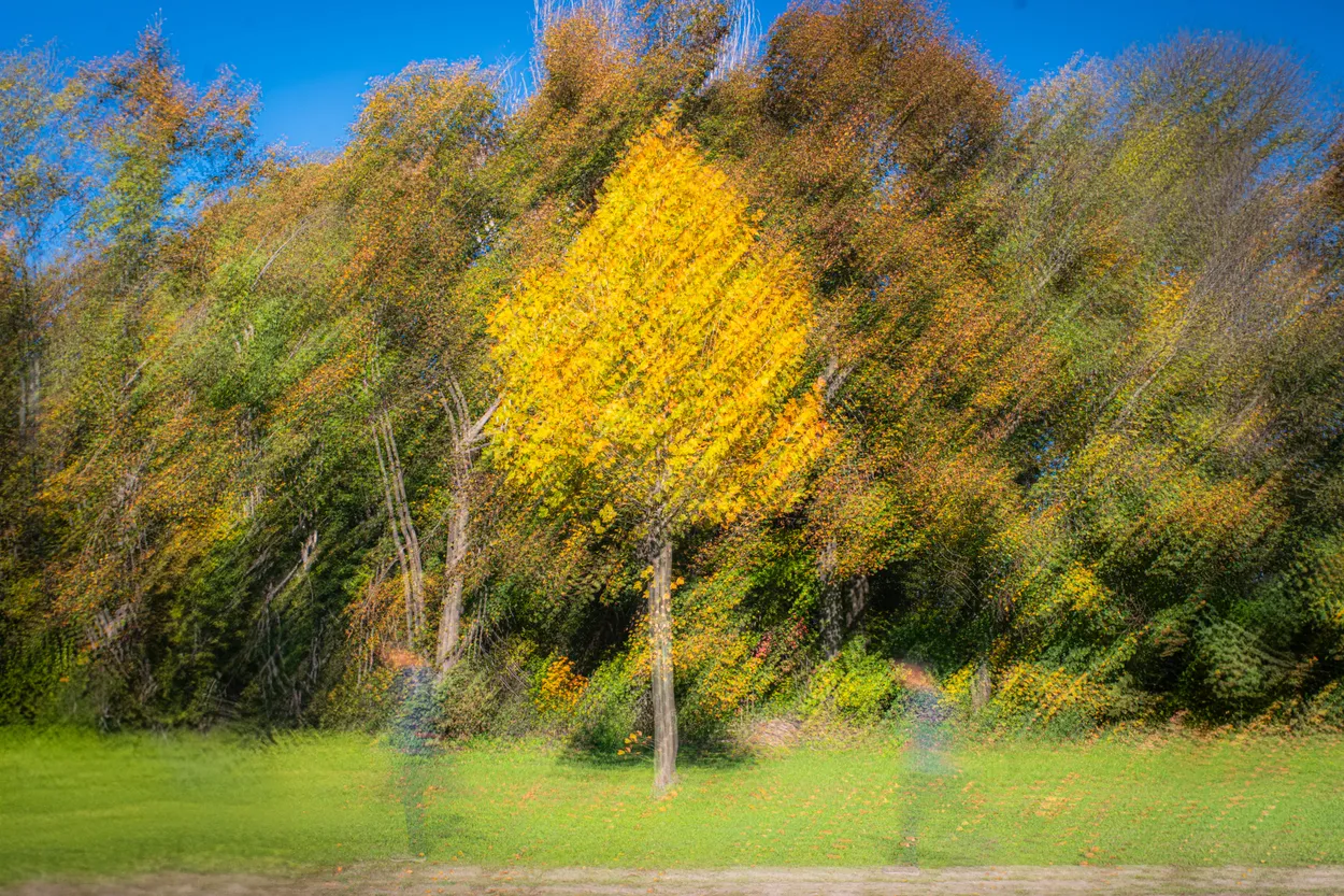 Intentional Camera Movement (ICM) - technique photo contest ...