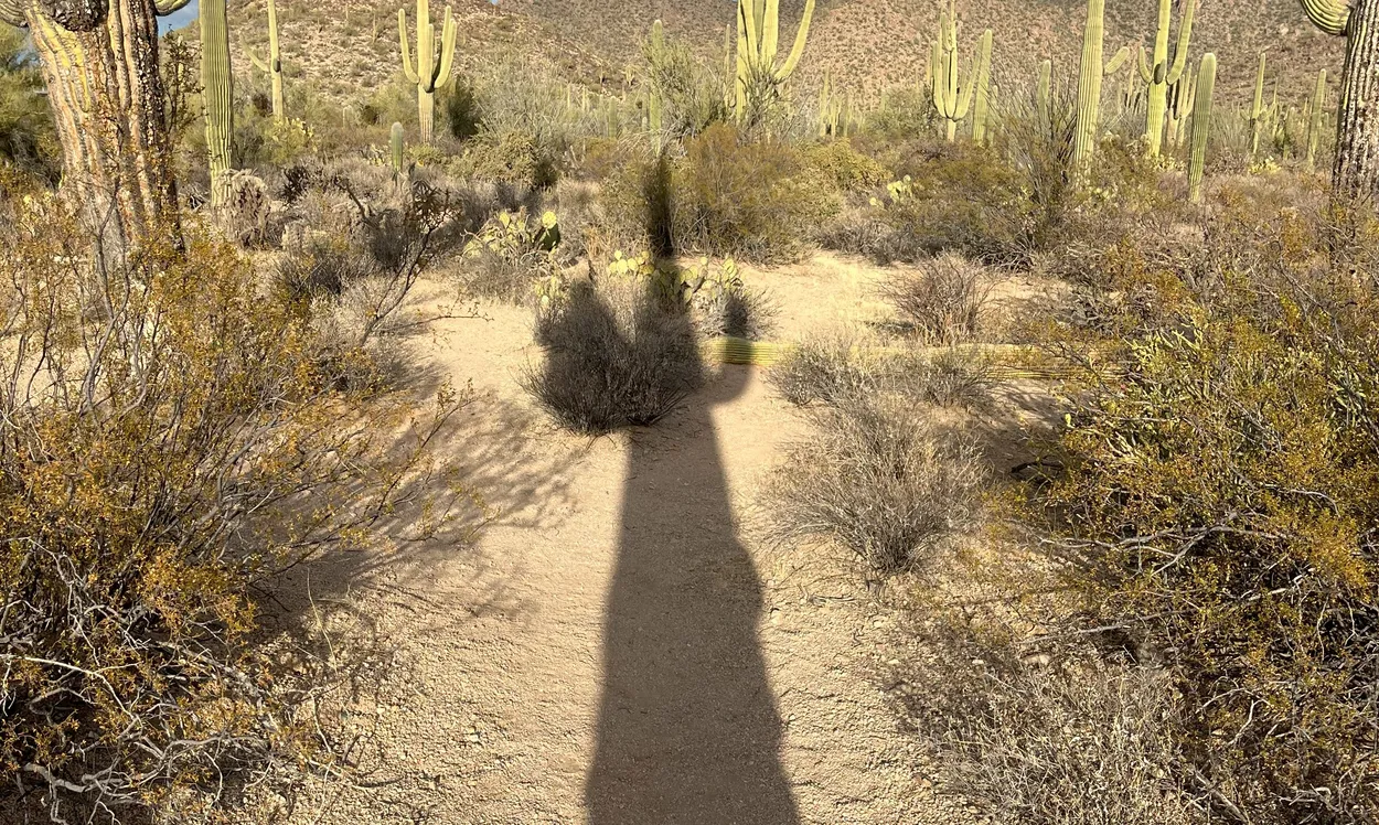 Shadows (in colour) - technique photo contest | Photocrowd photo ...