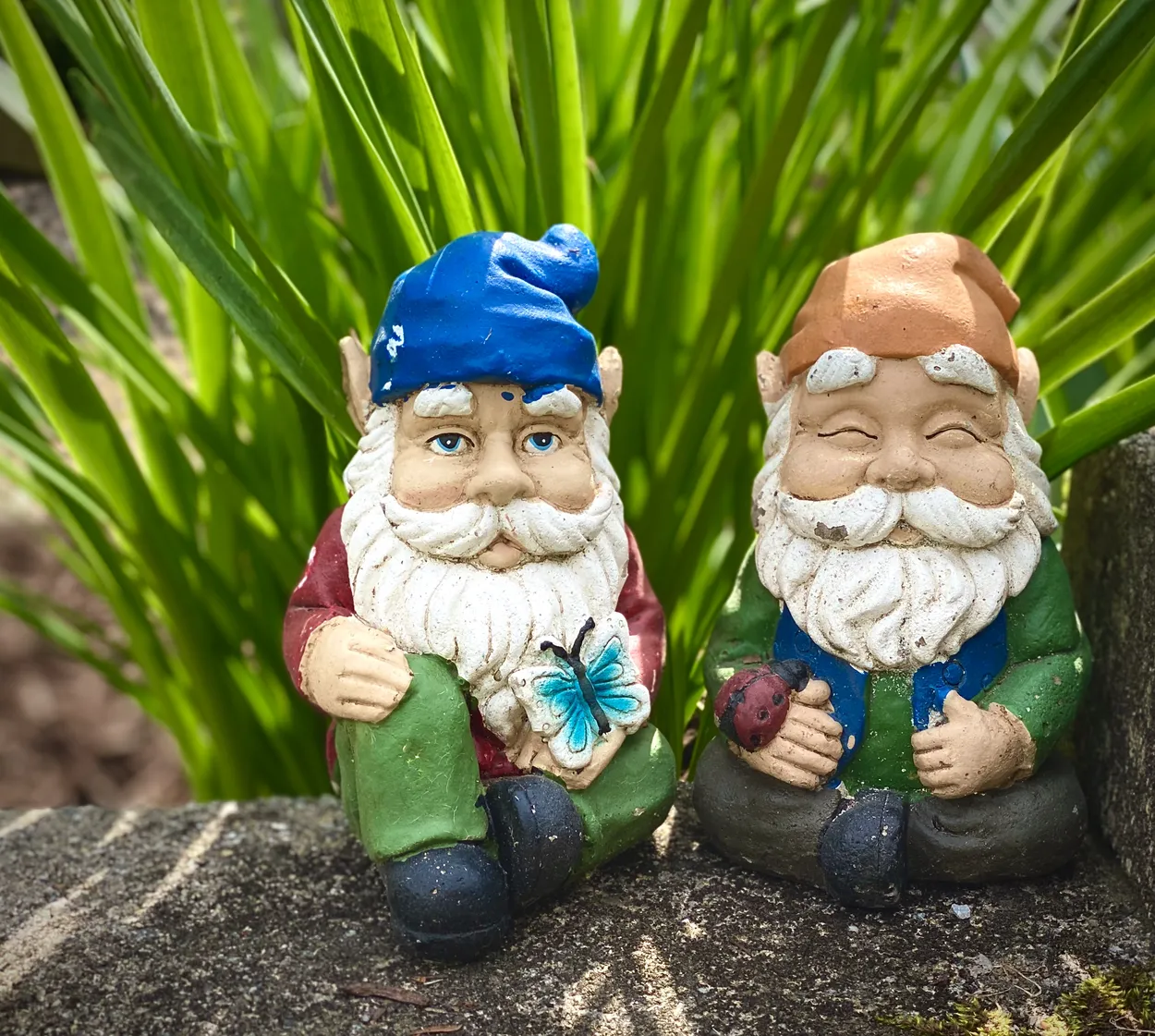Garden Gnomes - stilllife photo contest | Photocrowd photo competitions ...