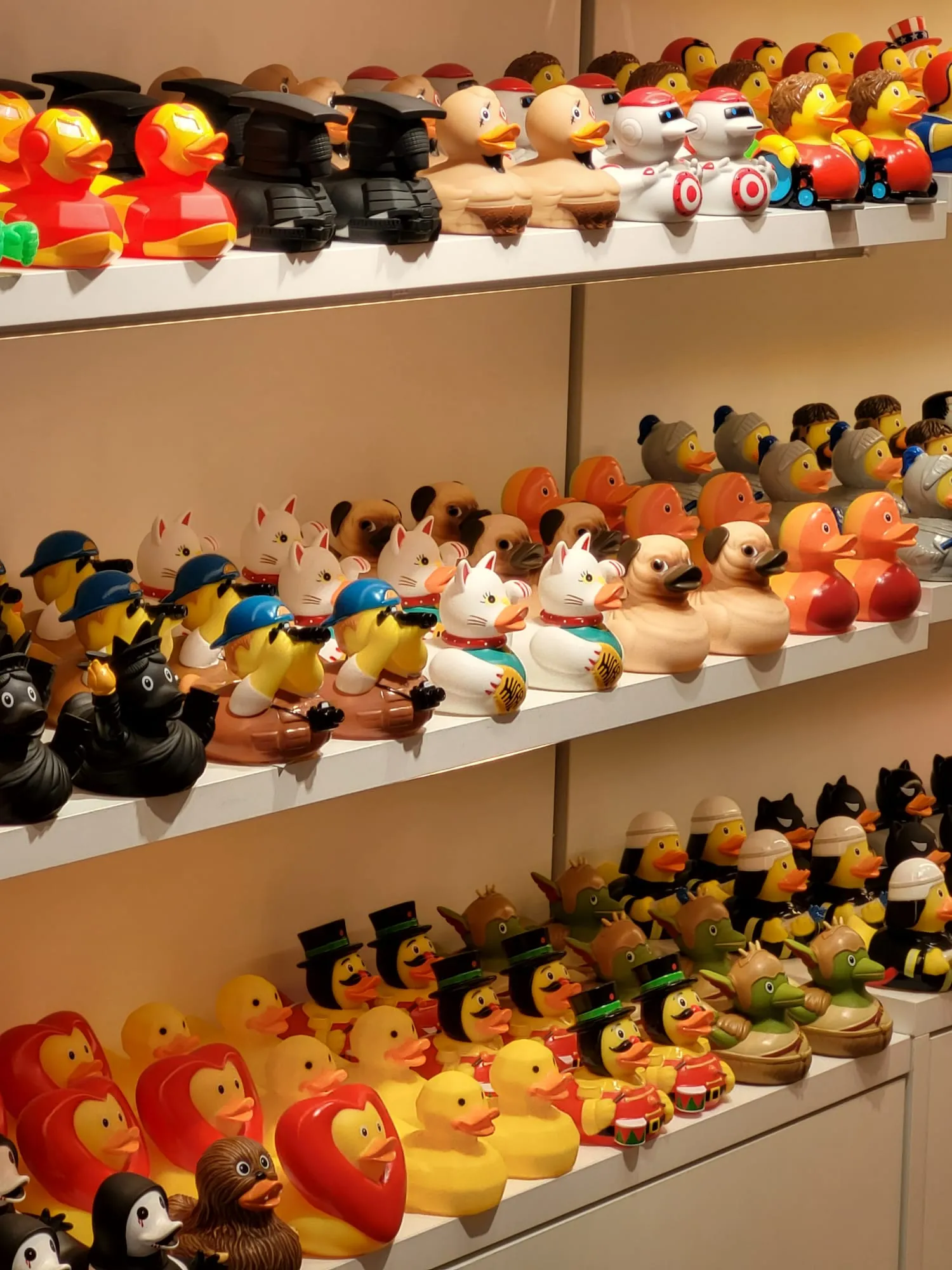 Plastic/Rubber Ducks - stilllife photo contest | Photocrowd photo ...