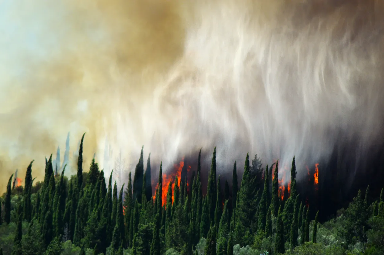 Smoke - general photo contest | Photocrowd photo competitions ...