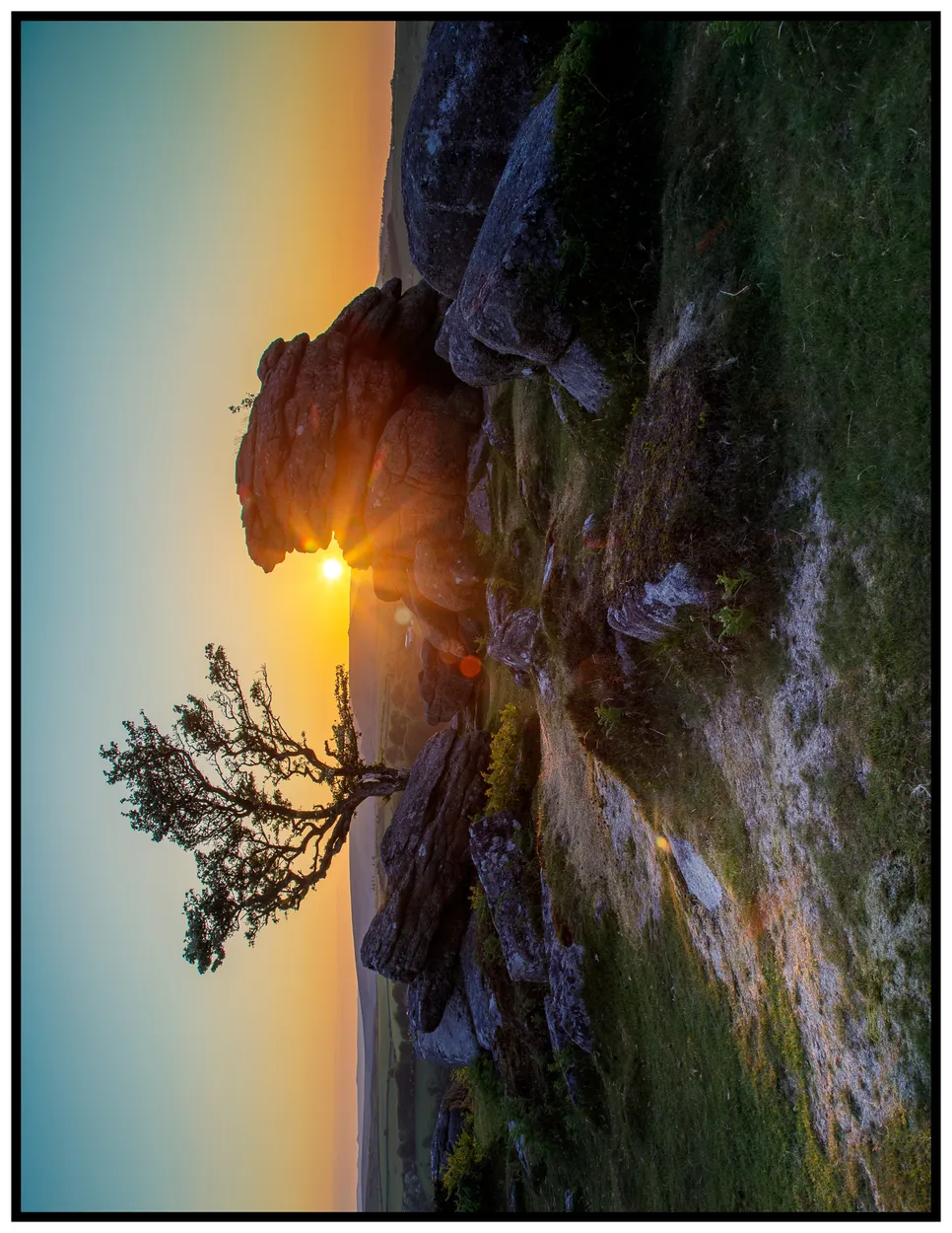 Lone Trees in Rural Locations - landscape photo contest | Photocrowd ...