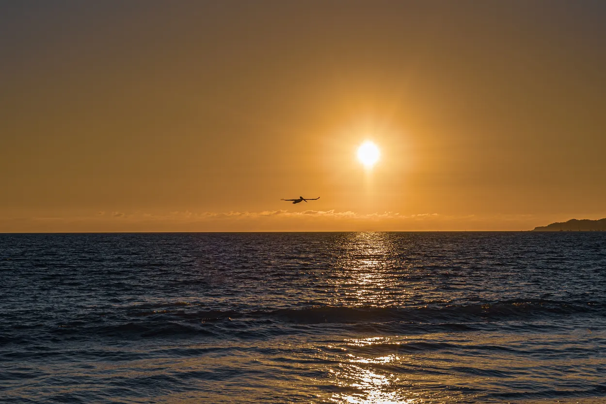 The Sun in Your Photo (in colour) - landscape photo contest ...