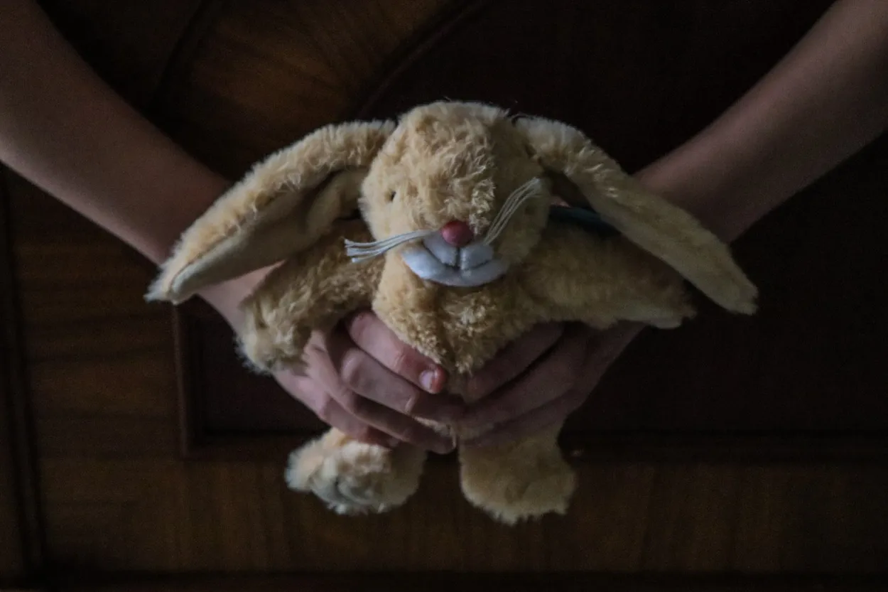 Stuffed Toy Animals - stilllife photo contest | Photocrowd photo ...