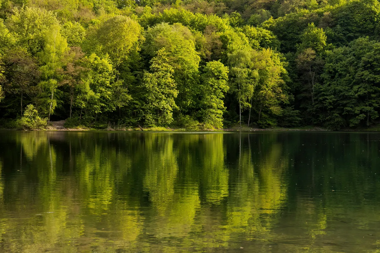 Only One Colour (in colour) - onecolour photo contest | Photocrowd ...