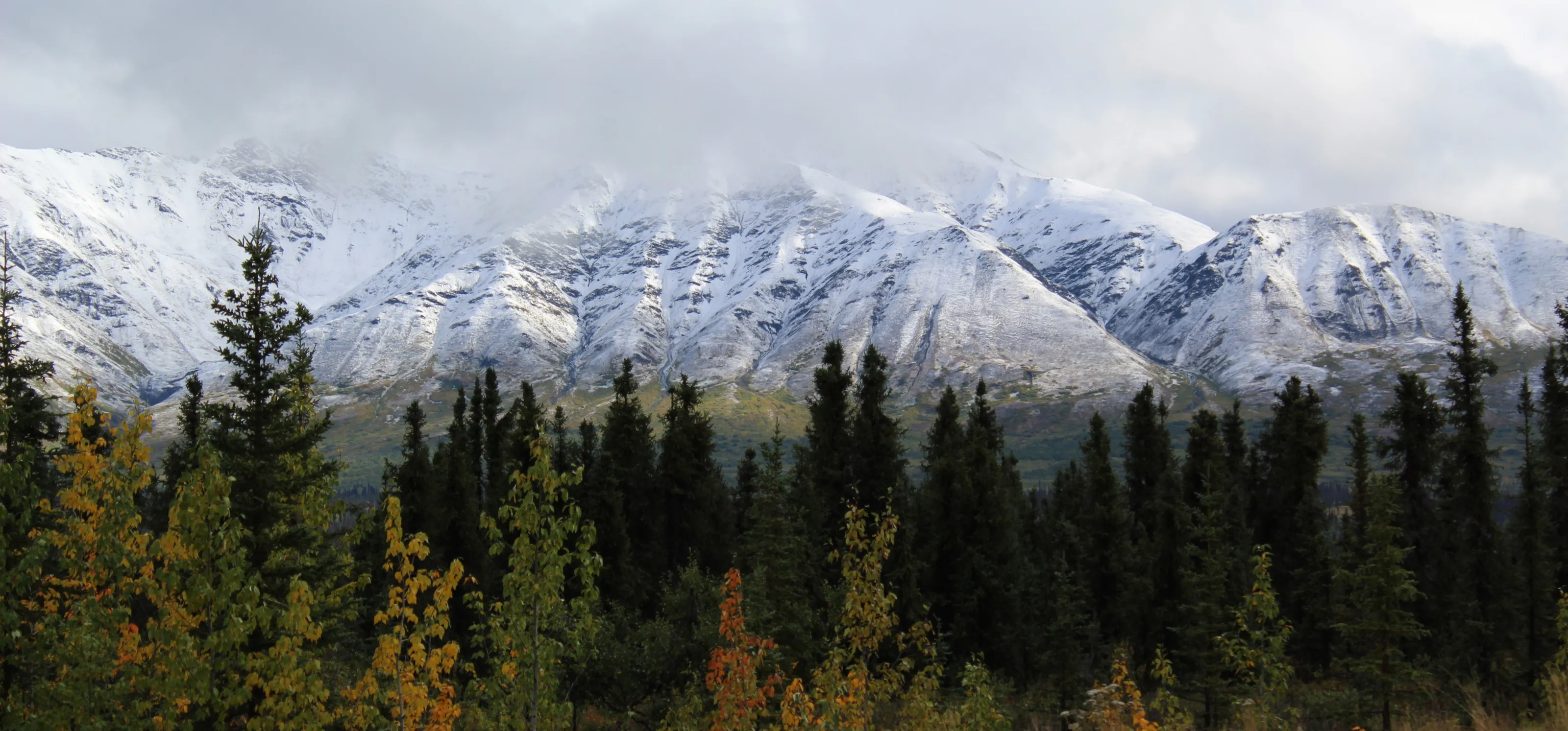 Western Photography Buff Photographer Profile | Photocrowd photo ...