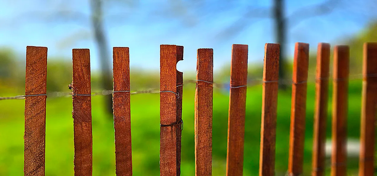 Shallow Depth of Field (Bokeh) - technique photo contest | Photocrowd ...