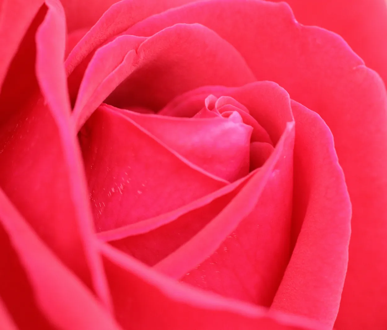 One Colour - colours photo contest | Photocrowd photo competitions ...