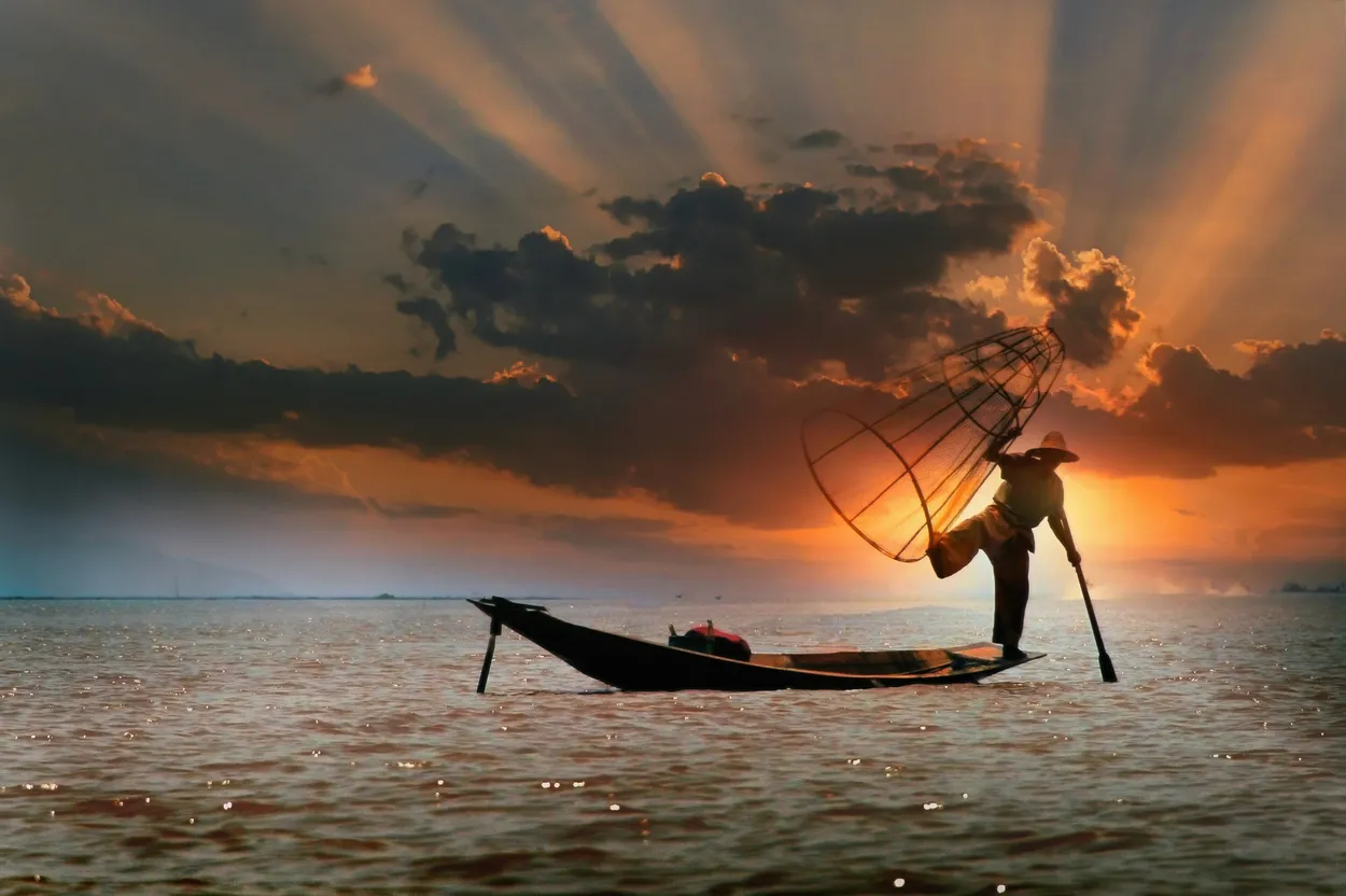 Shooting into the Sun - technique photo contest | Photocrowd photo ...