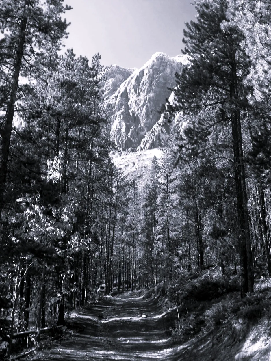 Monochrome Landscapes in Portrait Orientation - waterscape photo ...