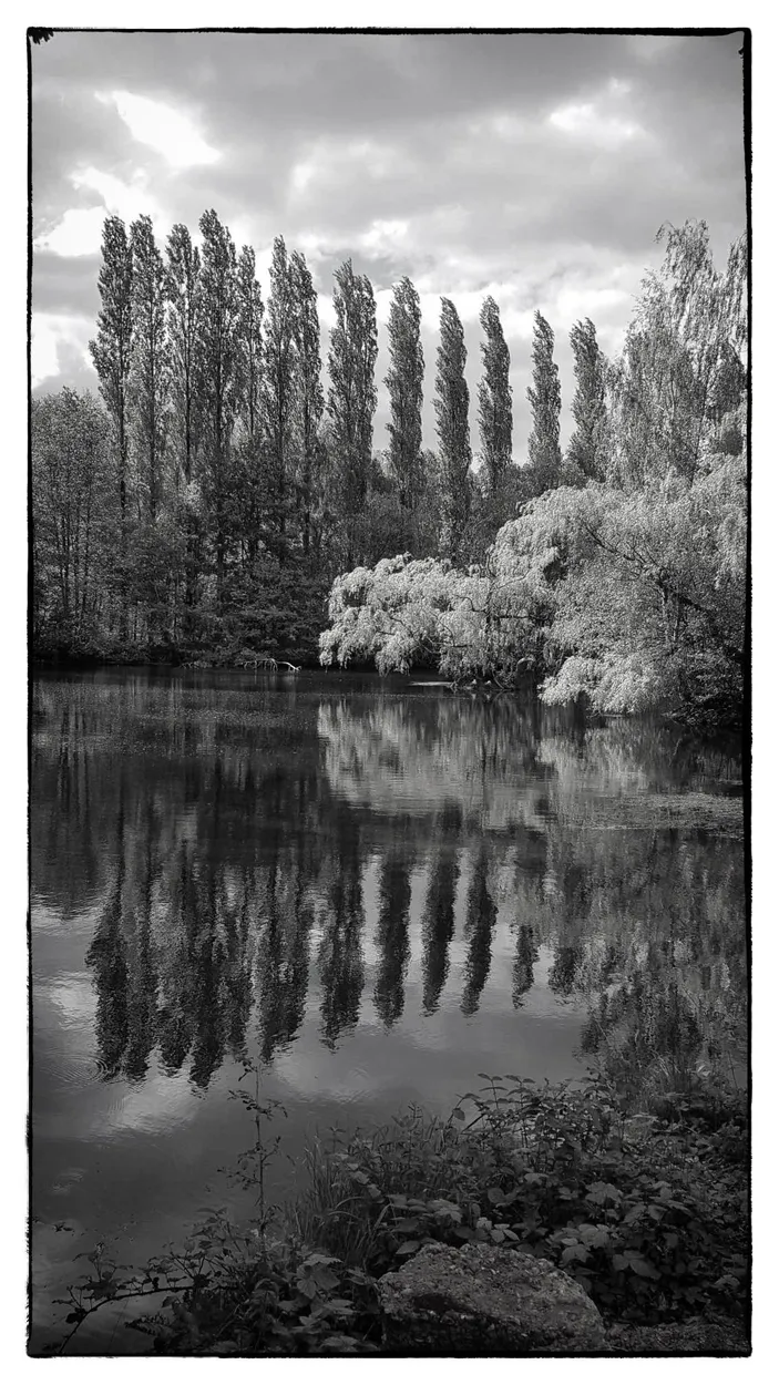 Monochrome Landscapes in Portrait Orientation - waterscape photo ...