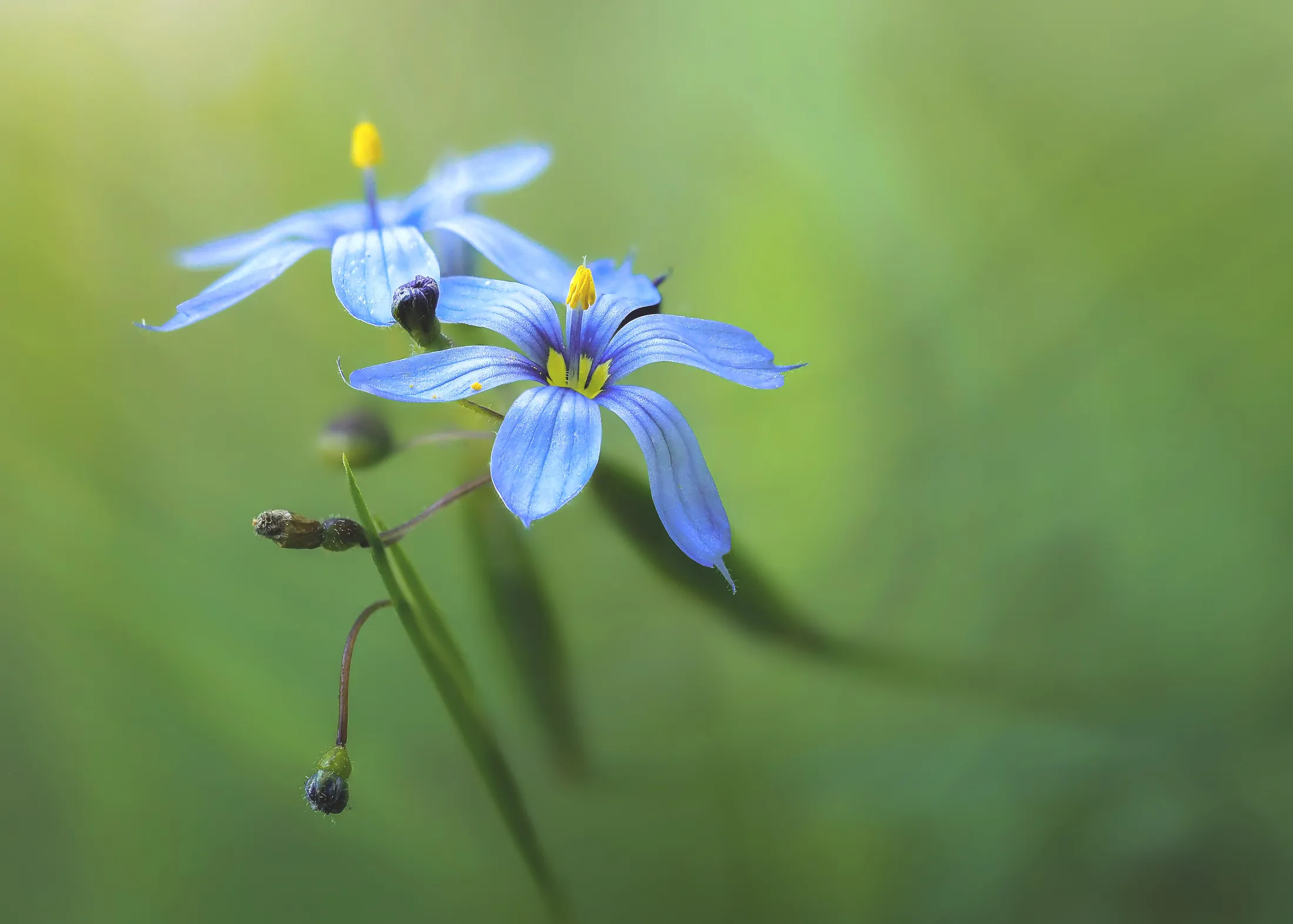 Trey Wardlaw Photographer Profile | Photocrowd photo competitions ...