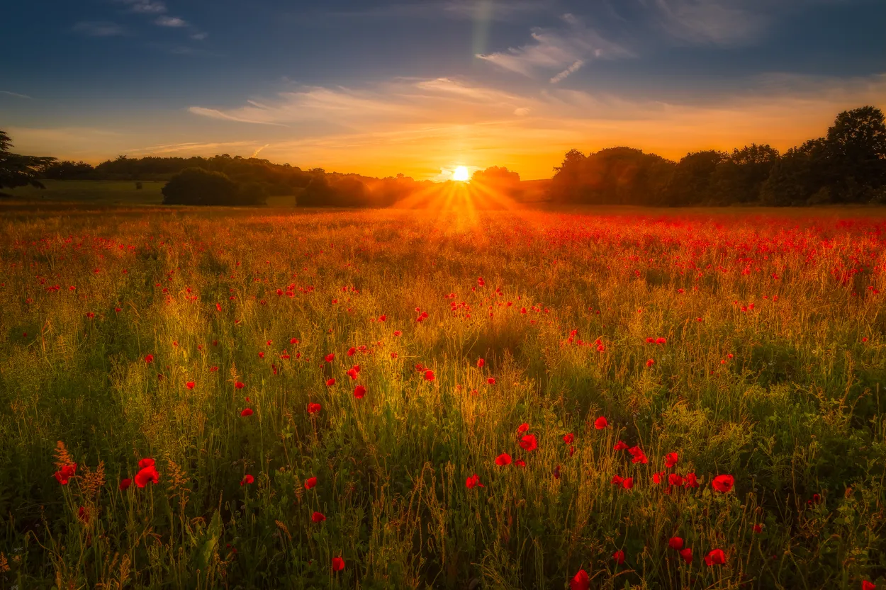 Sunrise and Sunset - waterscape photo contest | Photocrowd photo ...