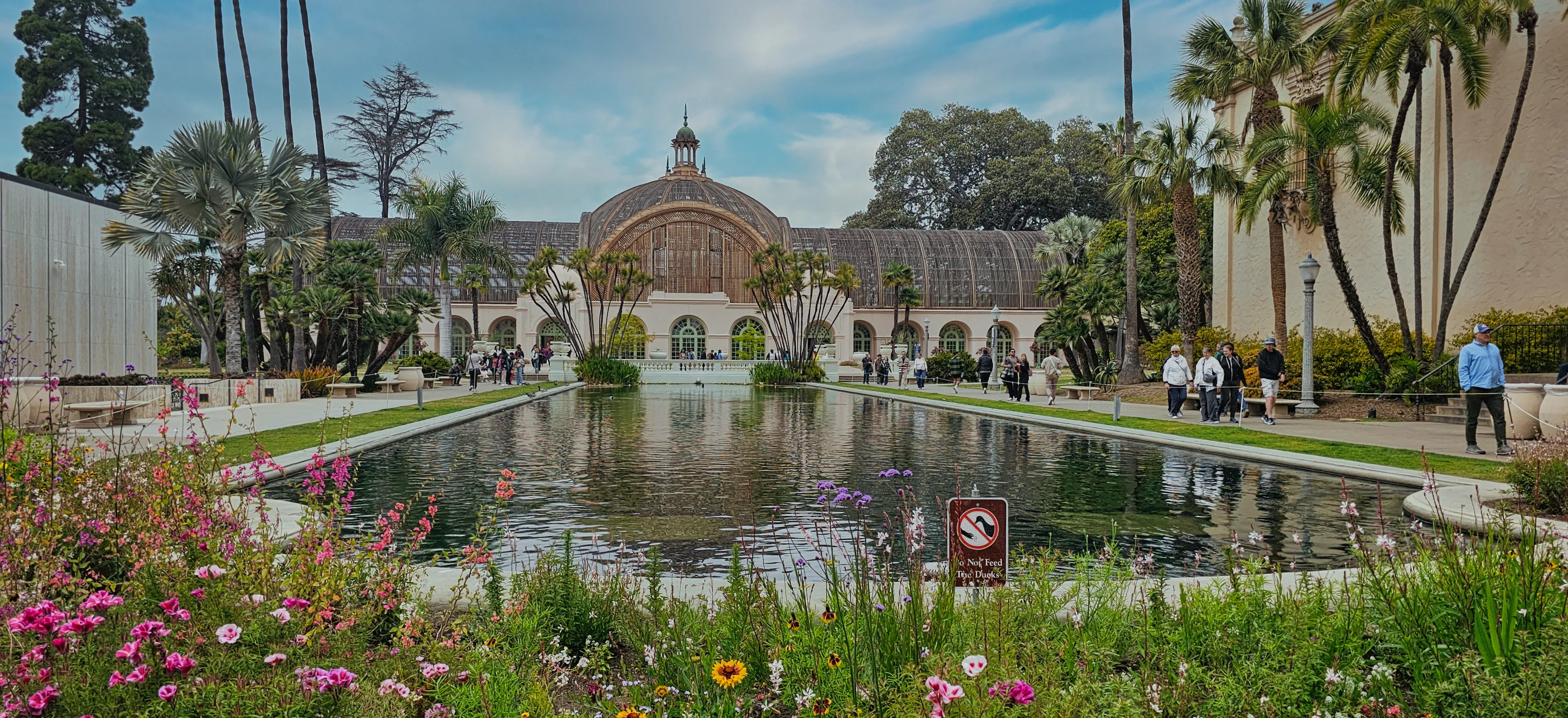 Trees, Buildings and Water Together - waterscape photo contest ...