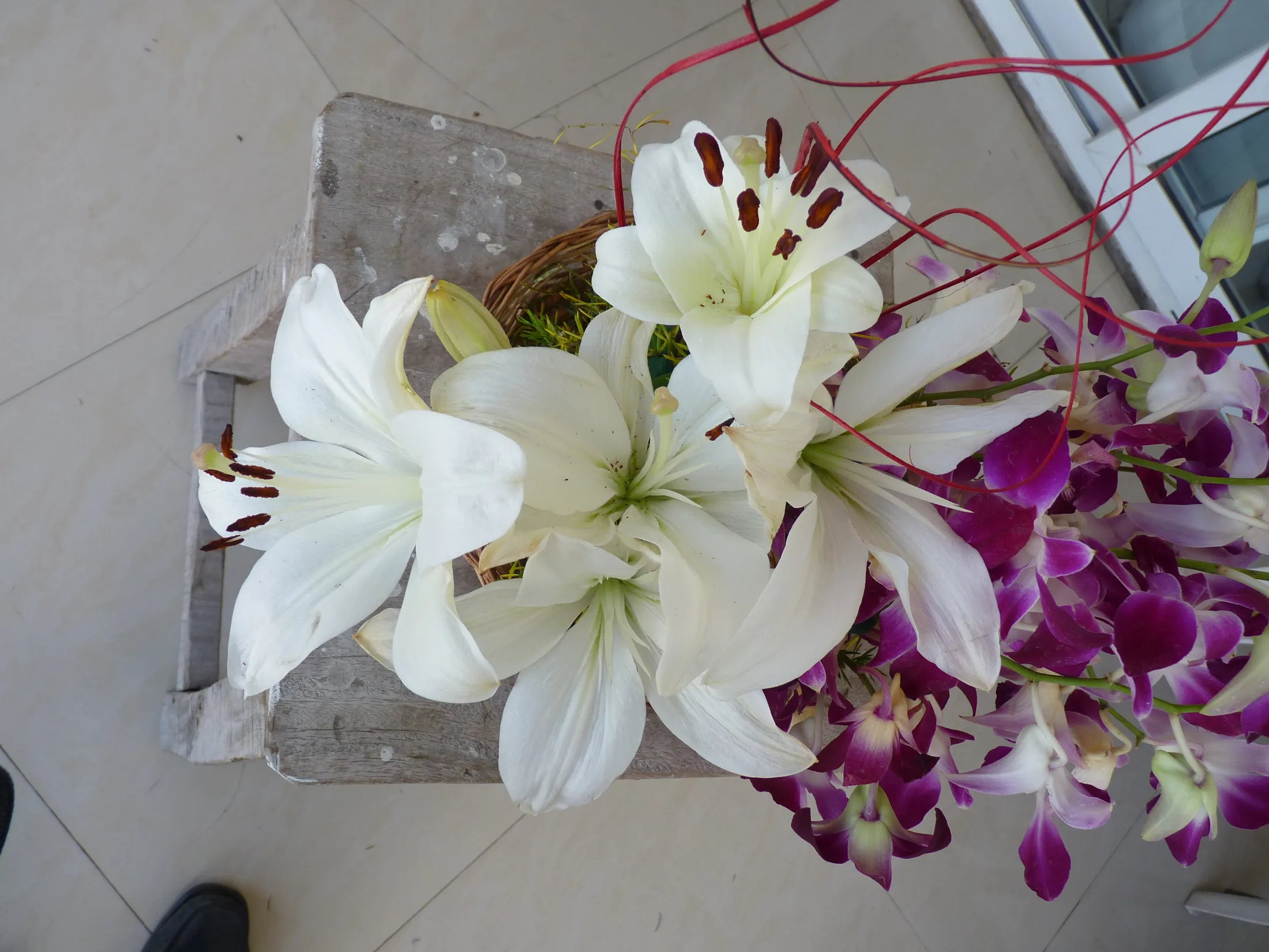 Anything White (in colour) - stilllife photo contest | Photocrowd photo ...