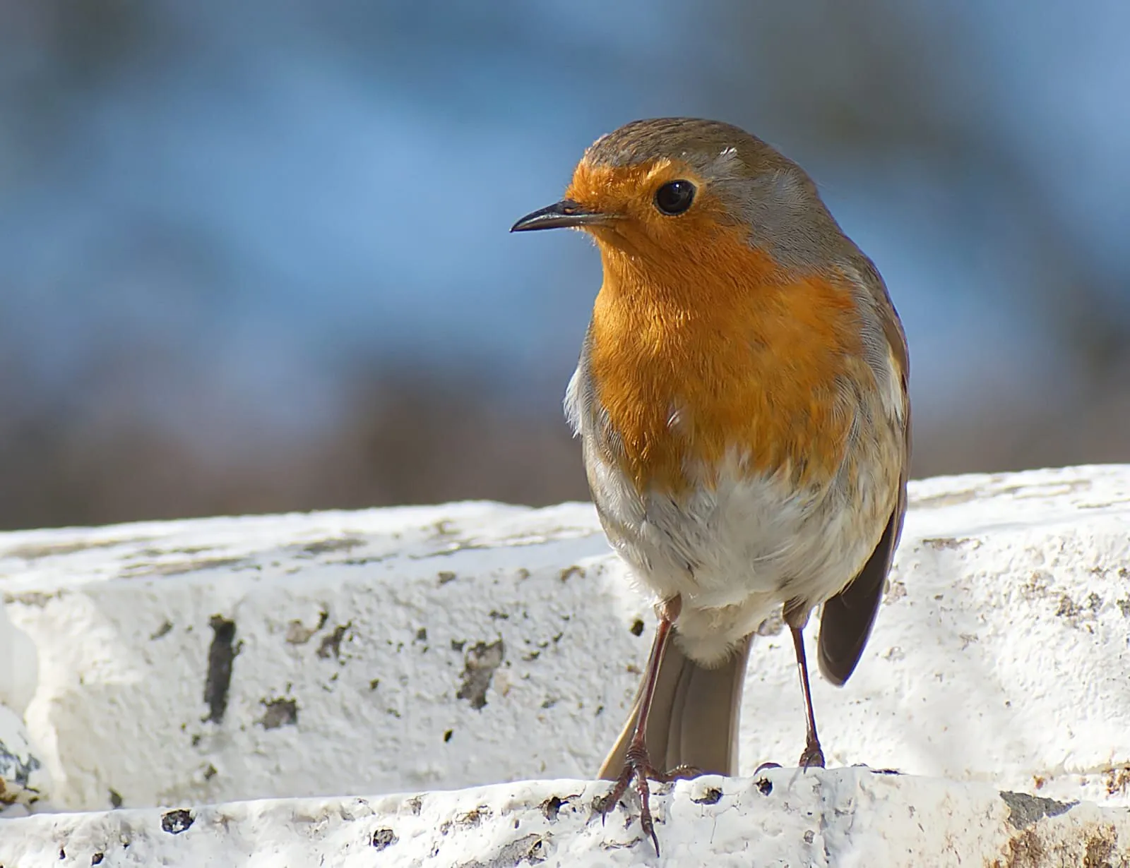 Nigel.Alderson Photographer Profile | Photocrowd photo competitions ...