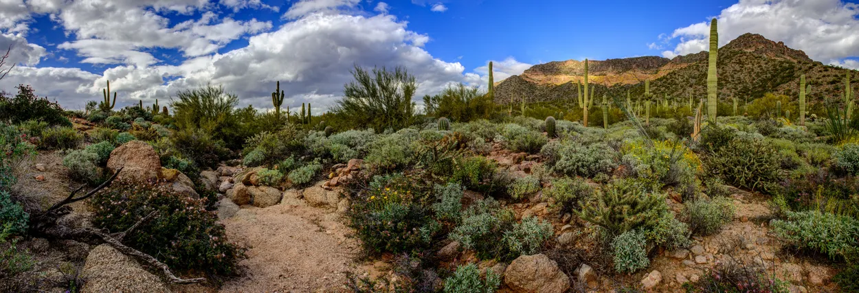 Joe Draper Photographer Profile | Photocrowd photo competitions ...