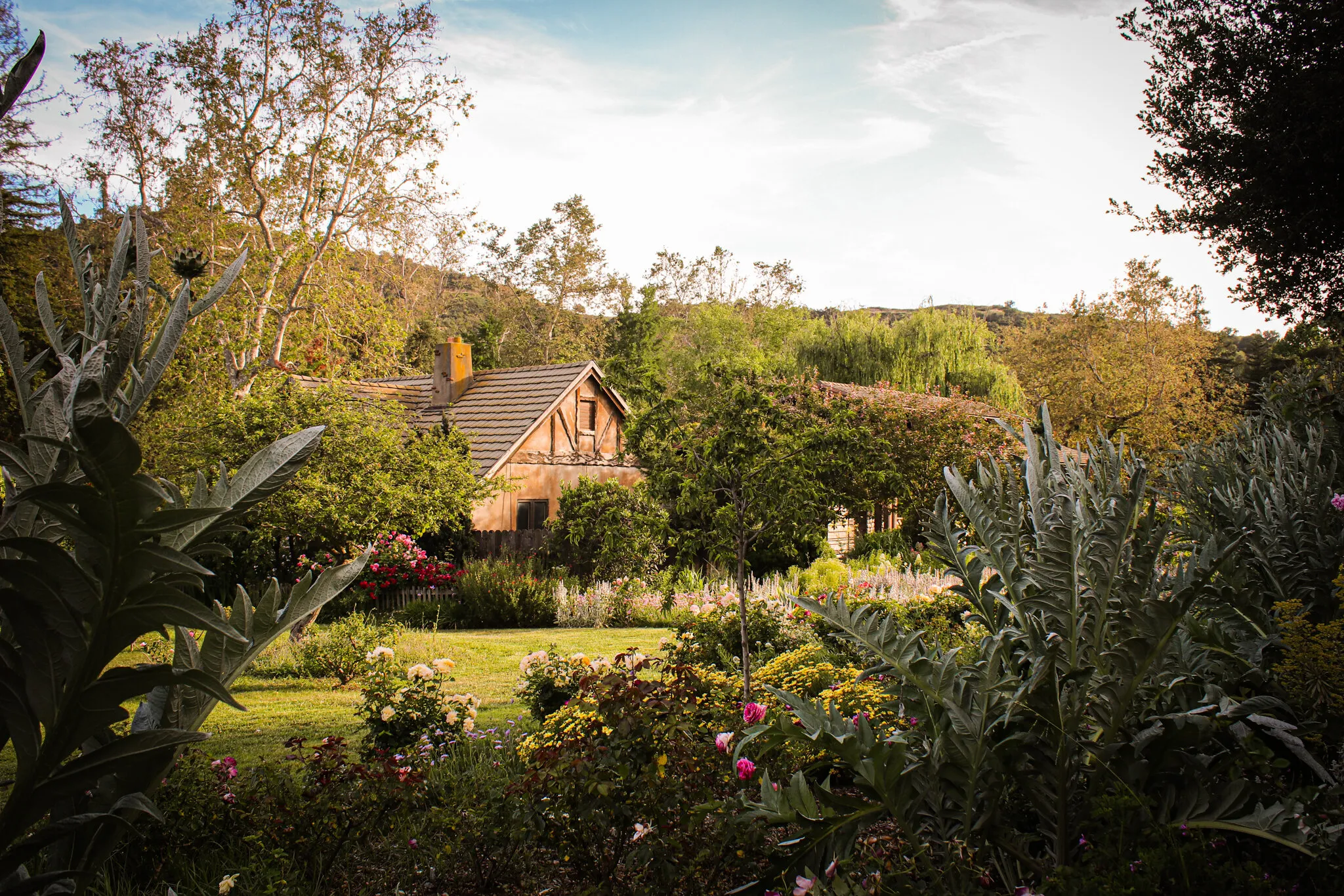 Gardens - flowers photo contest | Photocrowd photo competitions ...