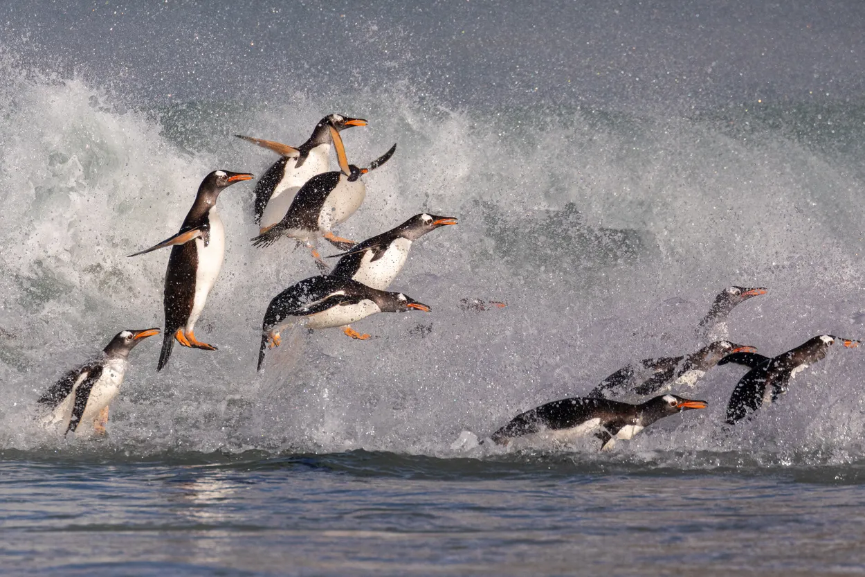 Movement in nature - nature photo contest | Photocrowd photo ...
