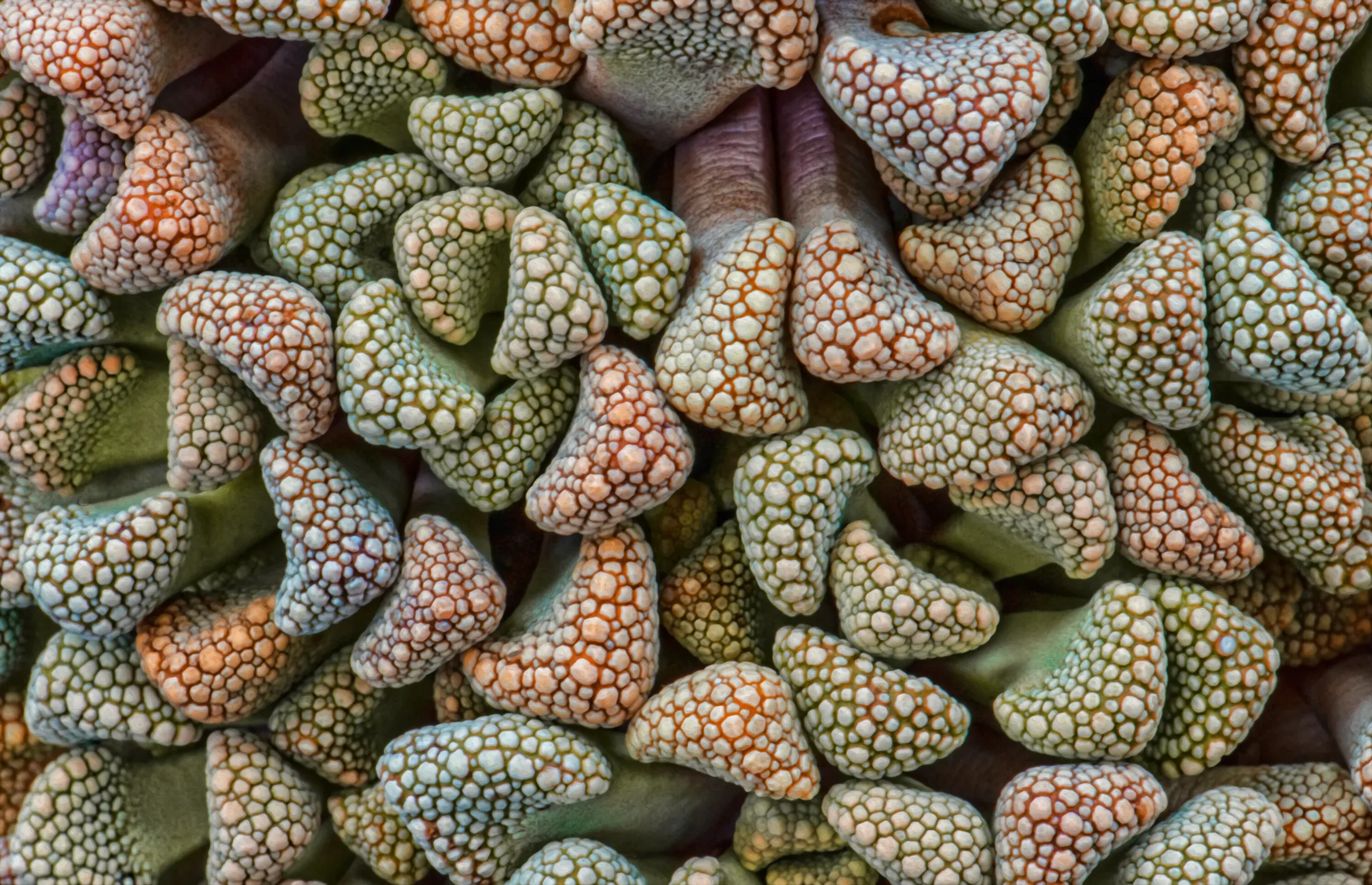 Patterns in nature - nature photo contest | Photocrowd photo ...