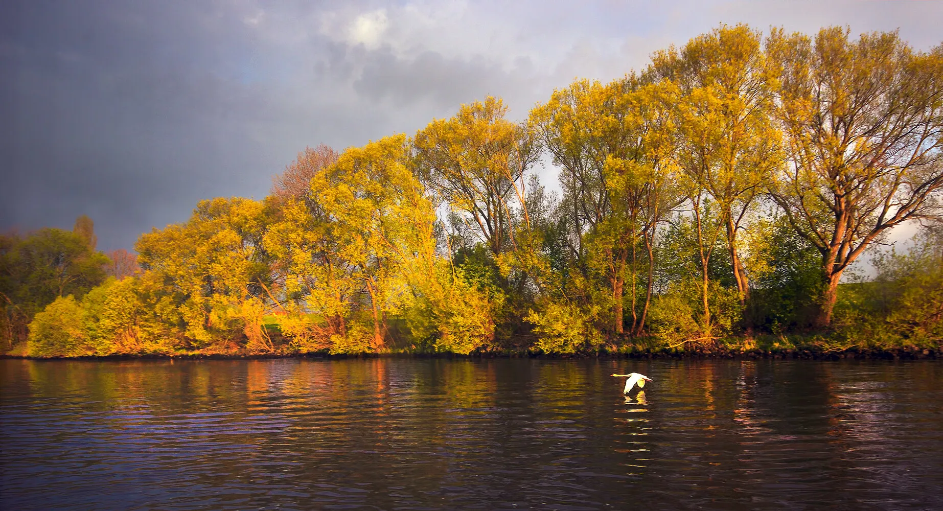 Along the River Rhine - waterscape photo contest | Photocrowd photo ...