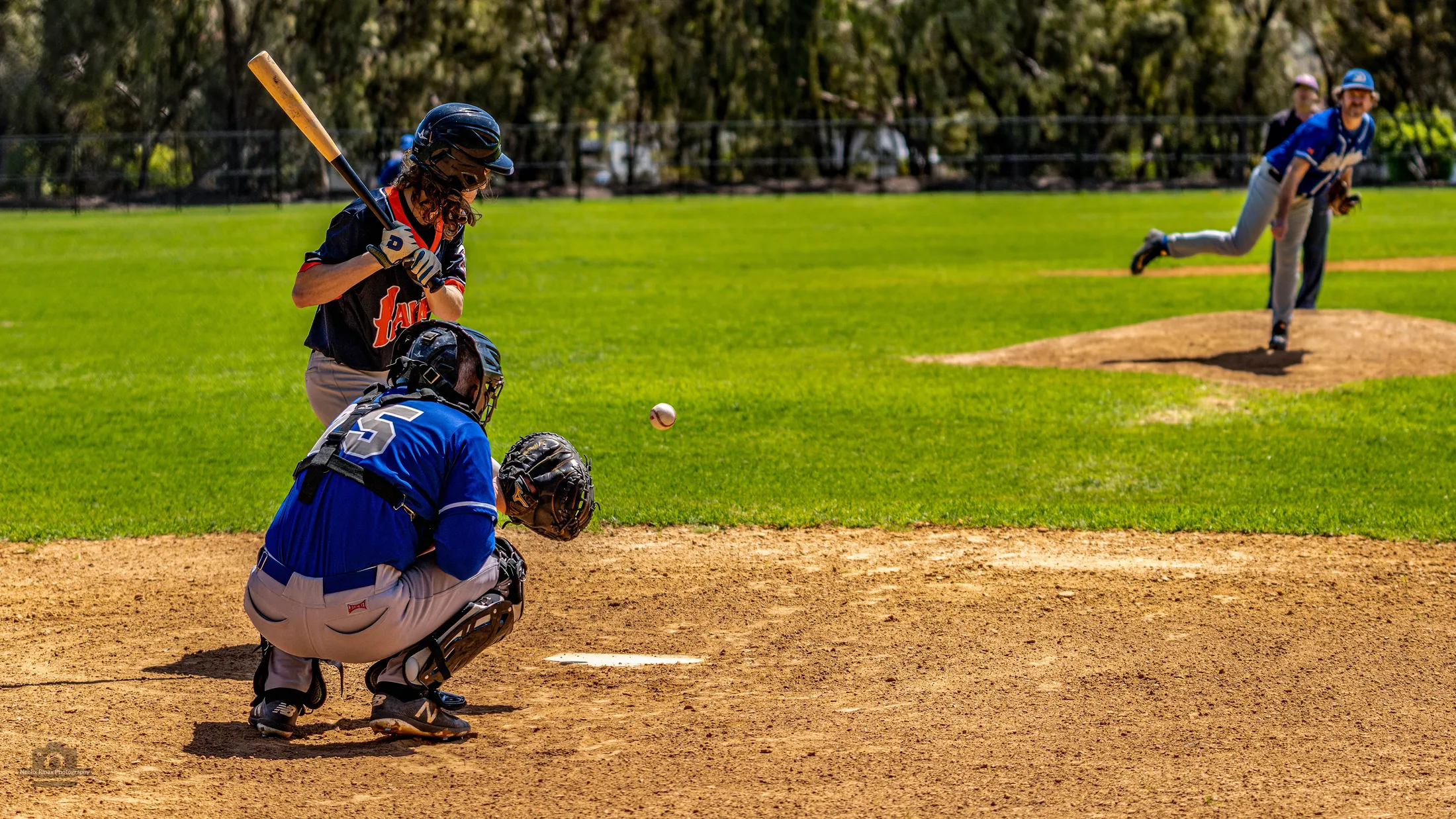 Baseball - sport photo contest | Photocrowd photo competitions ...