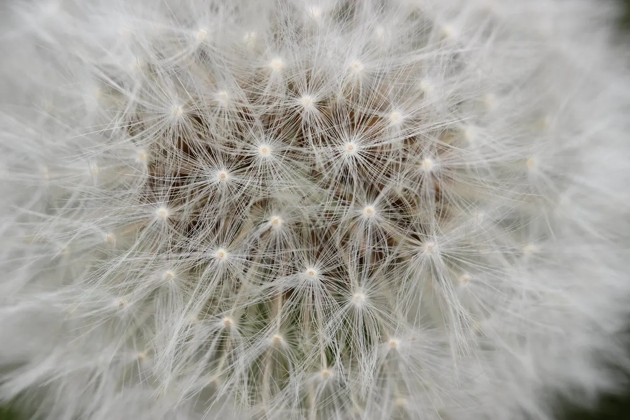Stuart Howard Photographer Profile | Photocrowd photo competitions ...