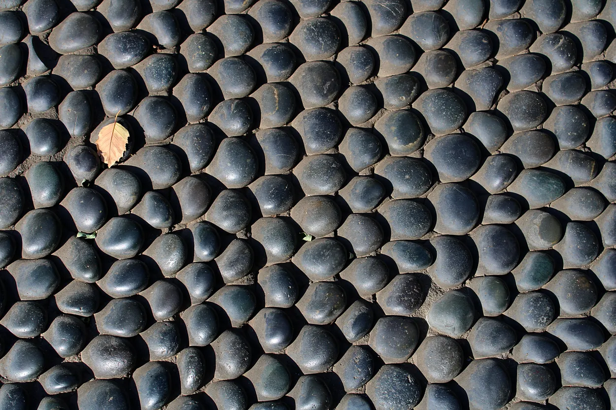 Shapes of Natural Objects - stilllife photo contest | Photocrowd photo ...