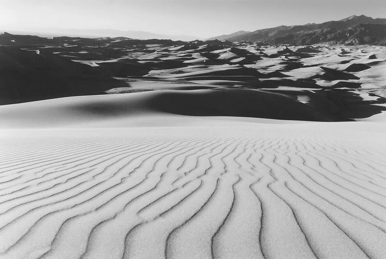 Patterns in nature - nature photo contest | Photocrowd photo ...