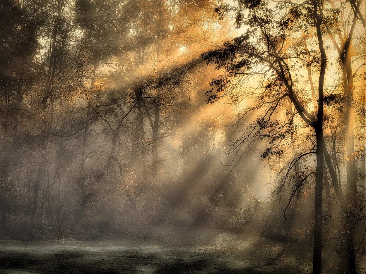 Atmospheric Scenes (in colour) - landscape photo contest | Photocrowd ...