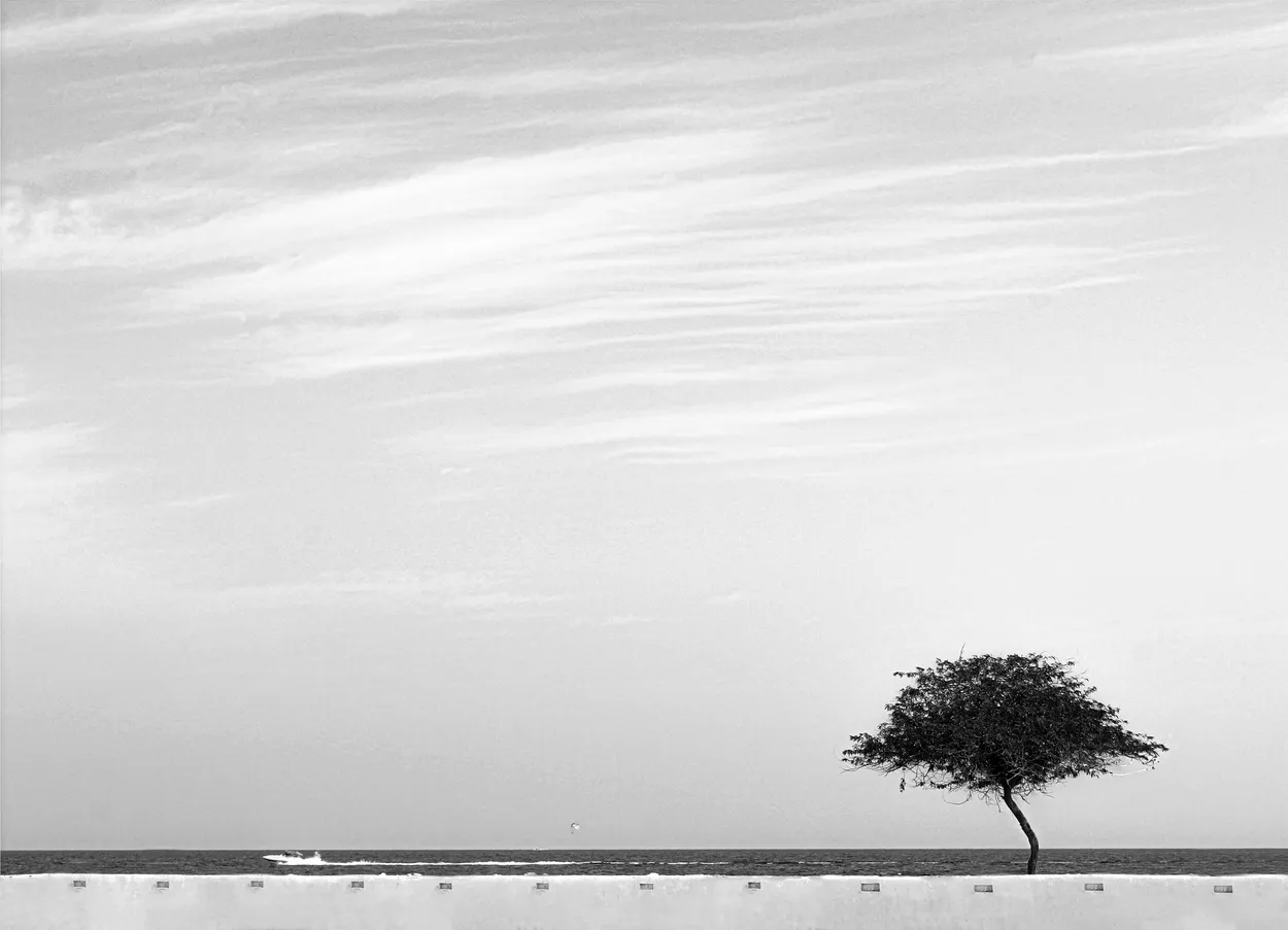 Composition - negative space - technique photo contest | Photocrowd ...